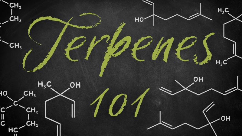 Terpenes: 101 - Roselle IL | RiverBluff Cannabis Dispensary