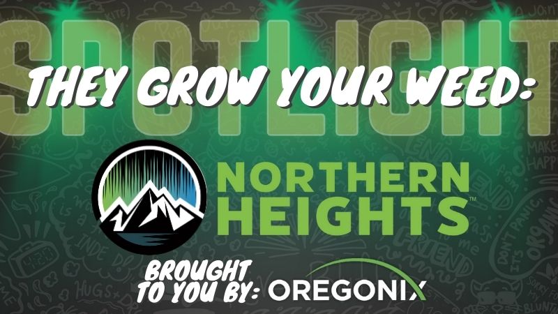 They Grow Your Weed Spotlight: Northern Heights Brought to You by ...