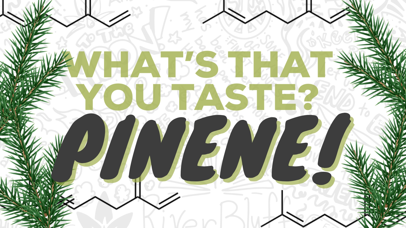What’s That You Taste? Pinene - Roselle IL | RiverBluff Cannabis Dispensary