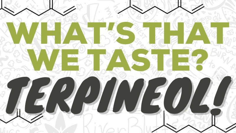 What’s That We Taste? Terpineol! - Roselle IL | RiverBluff Cannabis ...