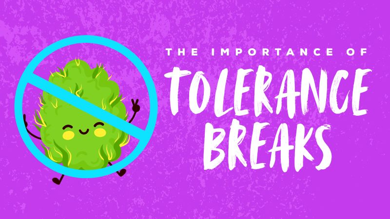 The Importance of Tolerance Breaks - Roselle IL | RiverBluff Cannabis ...